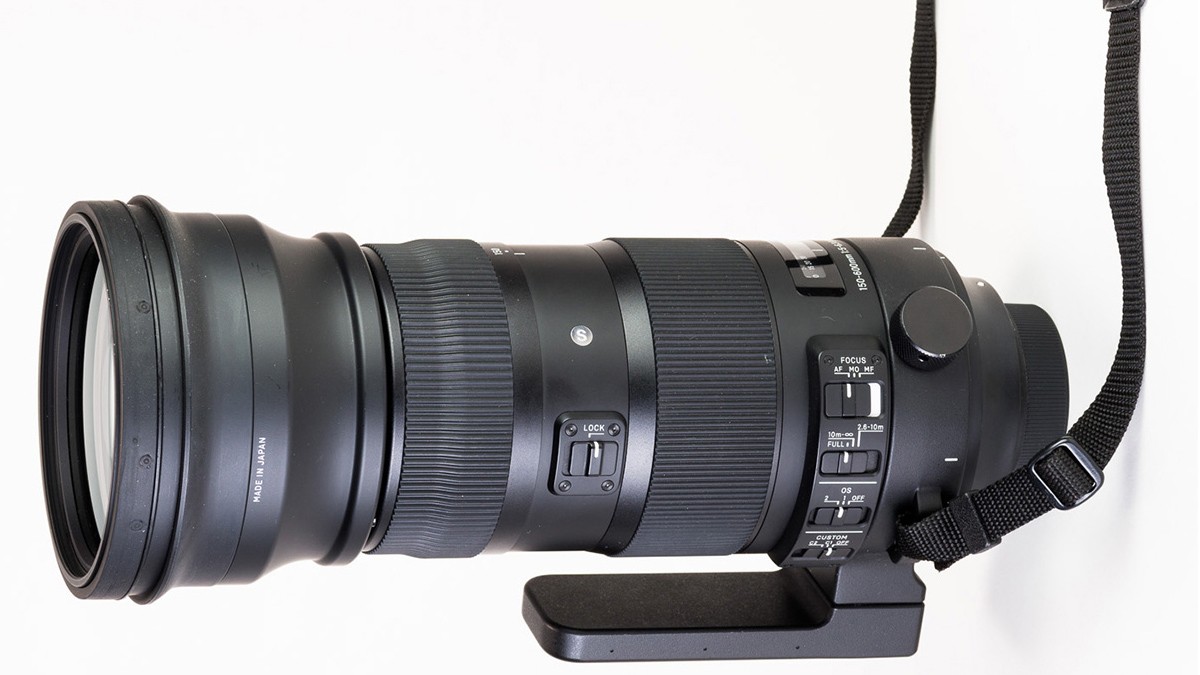 Sigma 150-600mm Sport Lens Review for Photographers | Professional ...
