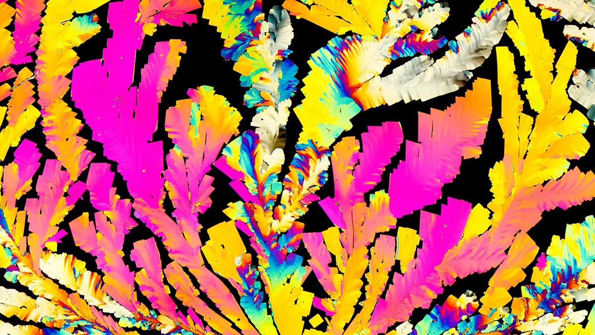 Microscopic Photography Experiments Create Stunning Art | Professional ...